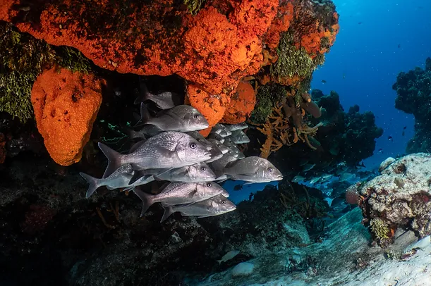 Tide Together | Home